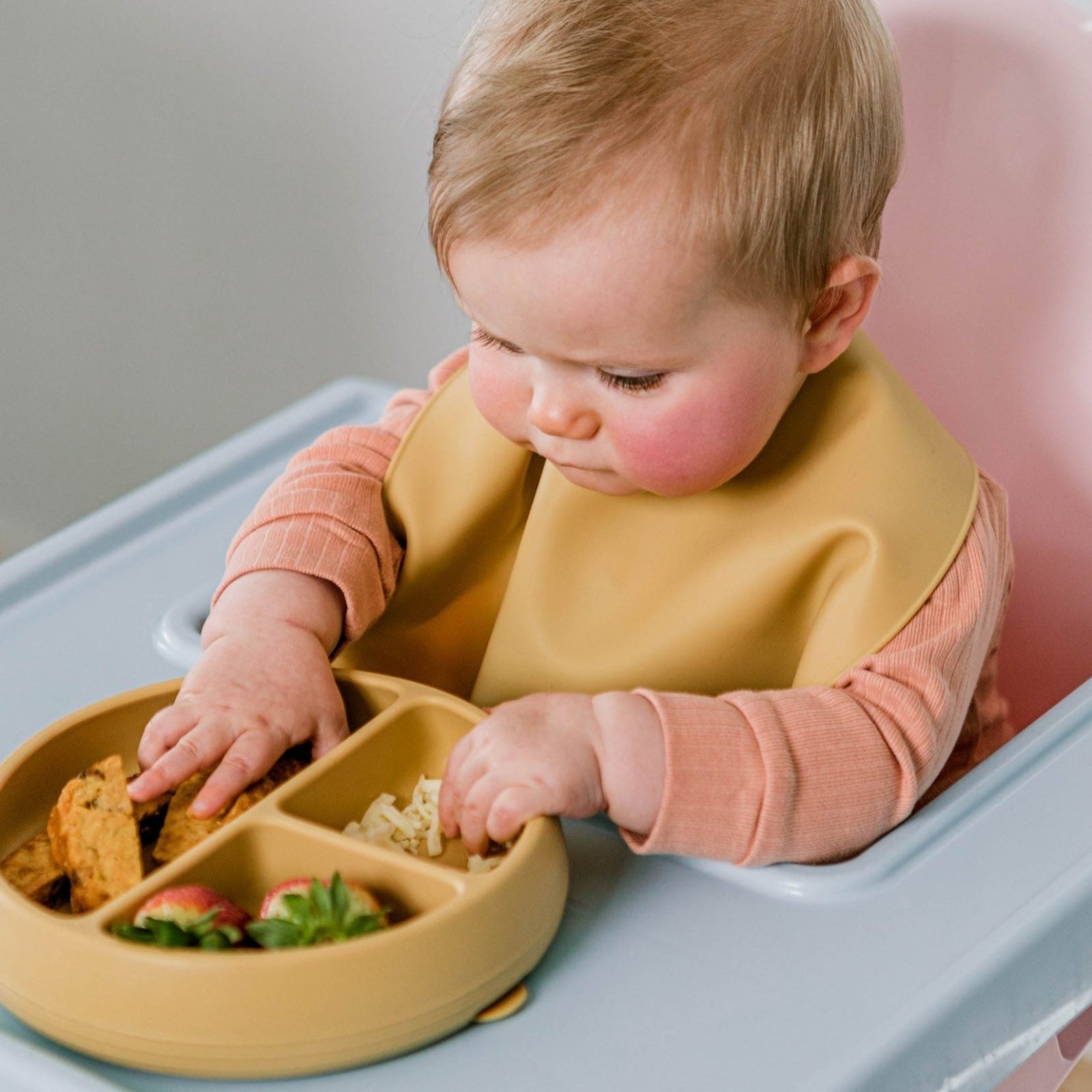 Starting Solids Suckie Scoop Divided Plate – Tazmyrtle Designs
